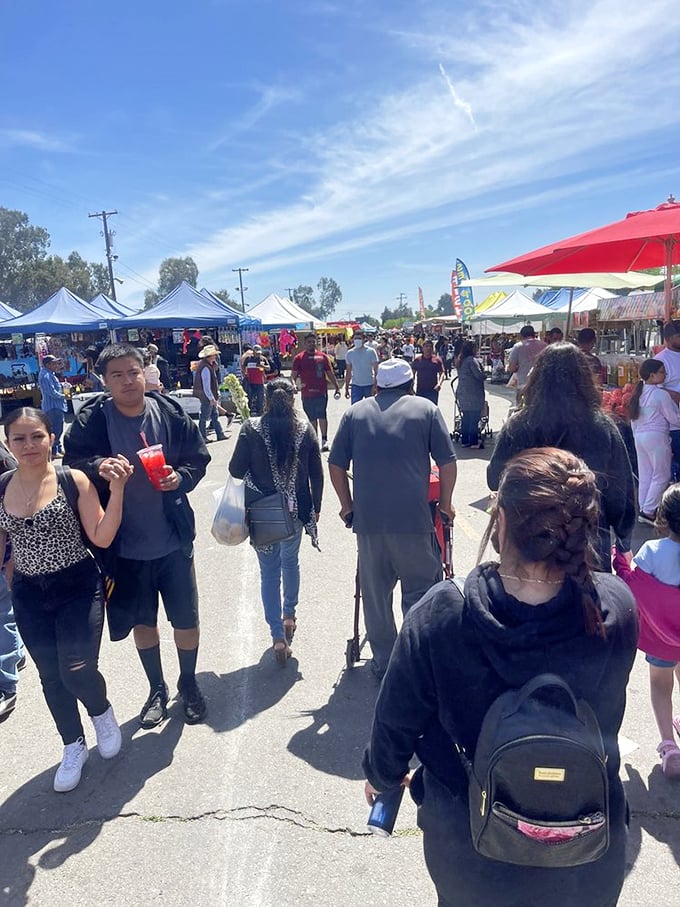 The human river of weekend treasure hunters. Notice the red drink – likely an agua fresca that makes navigating this marketplace bearable in summer heat.