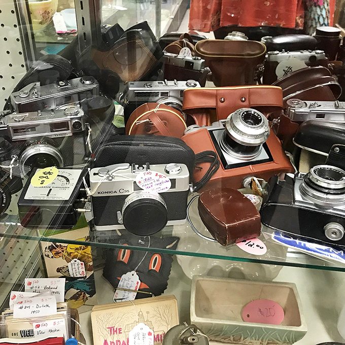 A treasure trove of vintage cameras that captured weddings, birthdays, and vacations long before "selfie" entered our vocabulary.