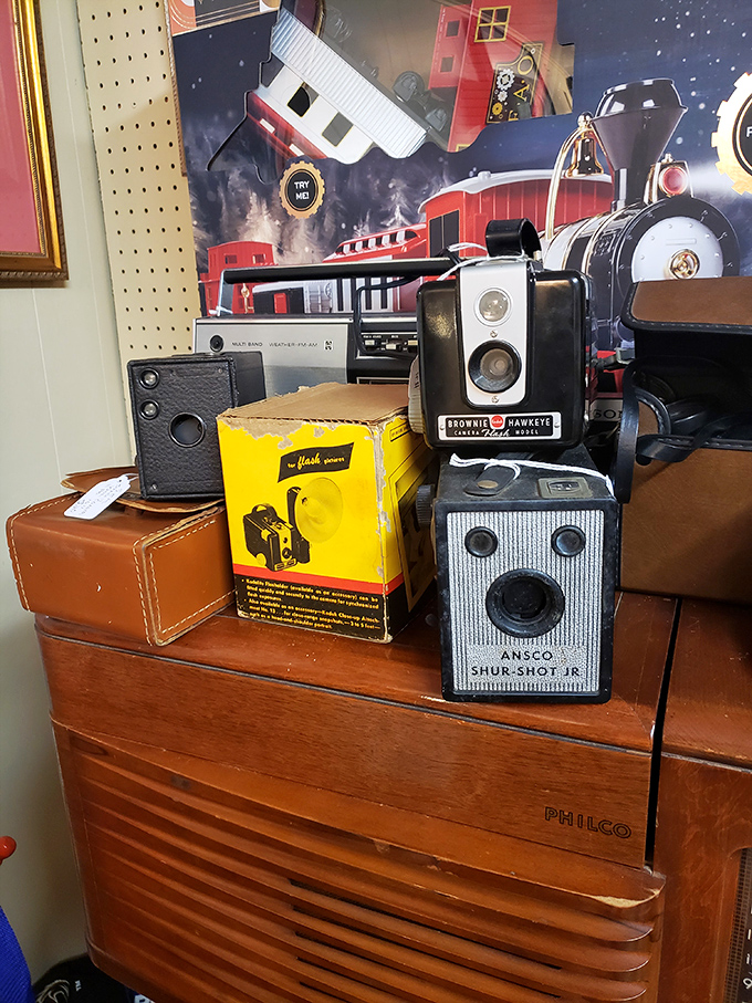 These cameras once captured family vacations and first steps. Now they're sculptural reminders of when "instant" meant waiting for development.