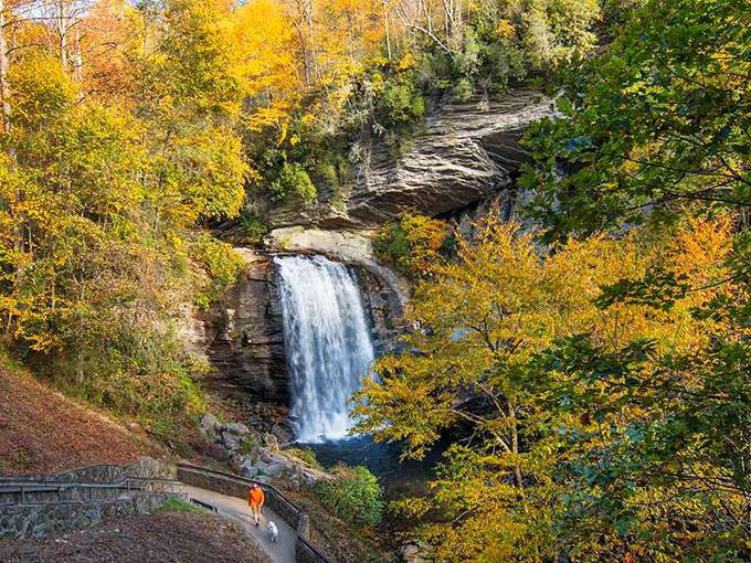 Looking Glass Falls cascades dramatically through autumn foliage, proving that Mother Nature is Brevard's most talented landscape artist.