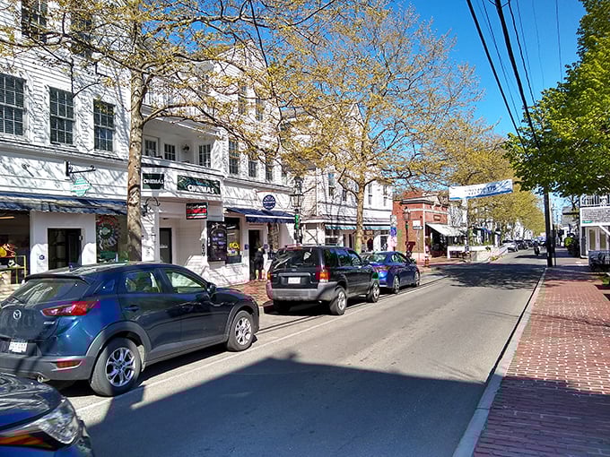 Edgartown's pristine streets lined with captain's homes remind us that on Martha's Vineyard, even the sidewalks seem freshly pressed.