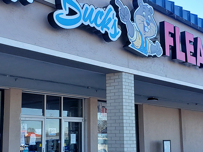 Trader Buck's blue bunny mascot seems to say, "Follow me down this rabbit hole of retail therapy and unexpected finds."