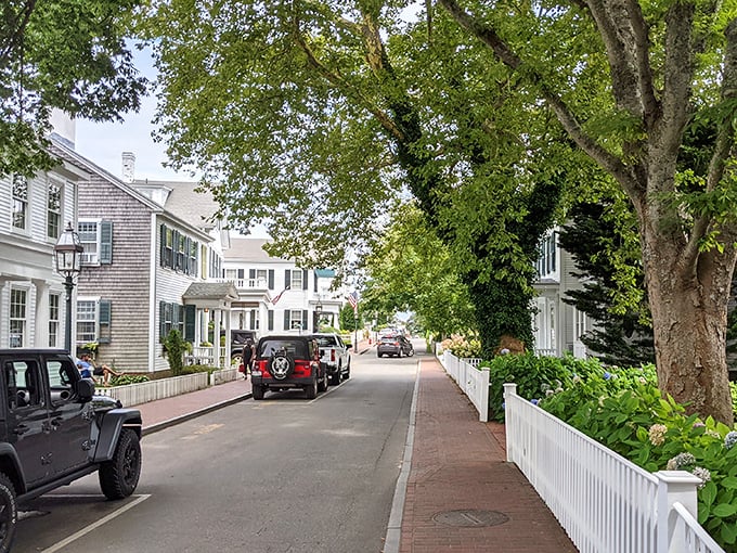 White picket fences and hydrangea blooms frame Edgartown's immaculate streets where every home looks ready for its architectural close-up.