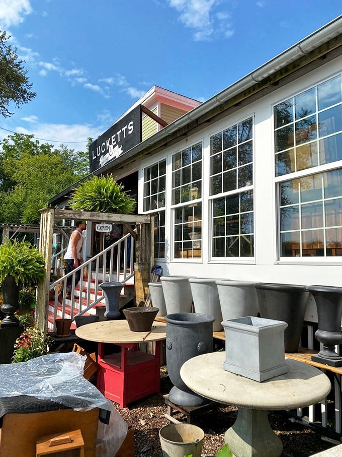 Sunshine streams through windows that have framed decades of Virginia seasons, illuminating treasures waiting for their next chapter.