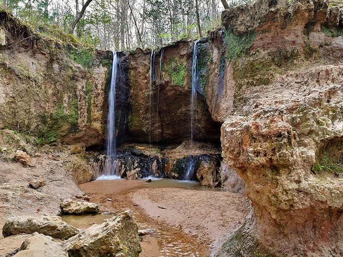 These surprising waterfalls feel like Mississippi's best-kept secret, cascading down limestone bluffs carved by centuries of patient water.