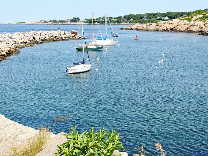 Oceanfront homes in Rockport aren't just houses&mdash;they're front-row tickets to nature's greatest show, performed daily at no extra charge.