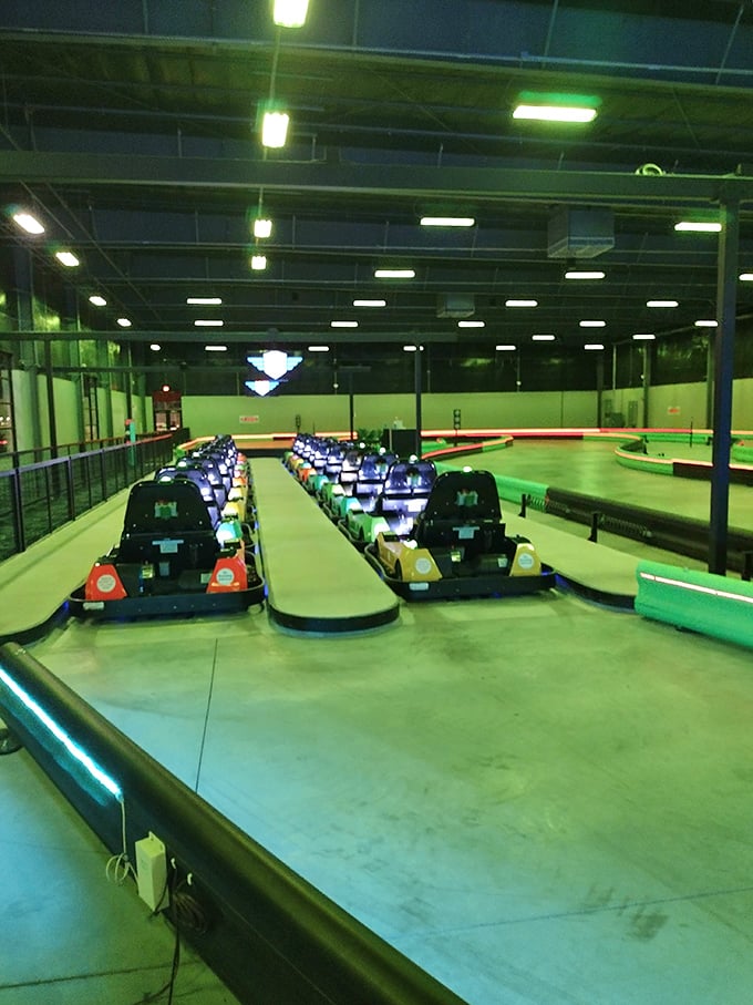 Go-karts lined up like obedient racehorses waiting for drivers to channel their inner Mario Andretti. Speed without the speeding tickets!