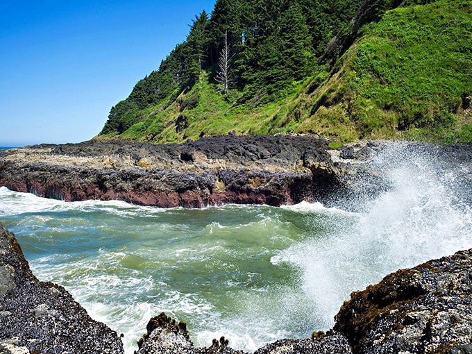 Where forest meets ocean in a geographical handshake that's been happening for millennia&mdash;Cape Perpetua offers views that make smartphone cameras weep with inadequacy.