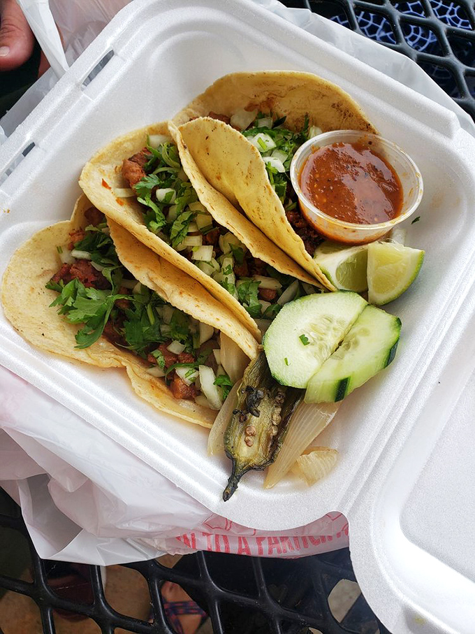 Three tacos standing at attention like delicious sentinels guarding the gateway to flavor town, complete with grilled jalape&ntilde;o sidekick.
