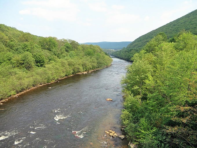 The river valley in spring transforms into a sea of green so vibrant it would make Ireland jealous. Perfect symmetry in nature's own design studio.