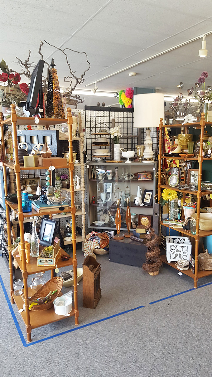 Wooden &eacute;tag&egrave;res create vertical villages of collectibles, each shelf a neighborhood with its own distinct personality and charm.