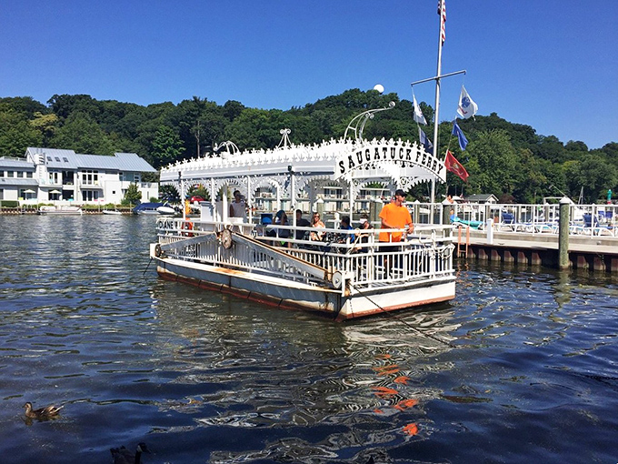 The Chain Ferry "Diane" in action—a charming anachronism that's been ferrying visitors across the Kalamazoo River long before anyone thought about bridges.