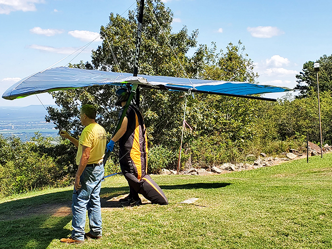 Humans have spent millions developing flying machines, yet nothing captures the pure joy of flight like these colorful wings dancing on invisible currents.