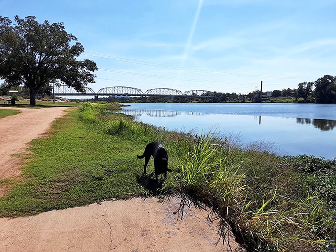 Badu Park offers the perfect riverside stroll with your four-legged friend, where both can contemplate the gentle flow of the Llano River.