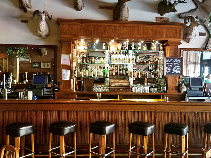 The bar stands ready for storytelling, each bottle a potential adventure, each stool occupied by someone with tales to share.