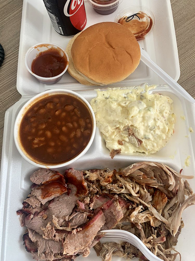 The holy trinity of BBQ bliss: brisket, pulled pork, and beans studded with meat. This tray contains more happiness than most people experience in a week.