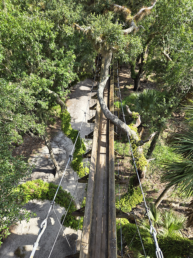 The swinging bridge offers thrills without the theme park prices. Walking across feels like starring in your own Indiana Jones adventure.