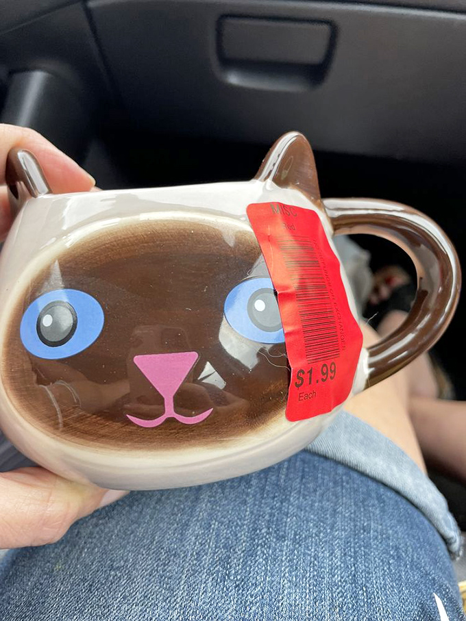 This wide-eyed cat mug practically begs to become someone's favorite morning companion. At $1.99, it's the purr-fect deal.