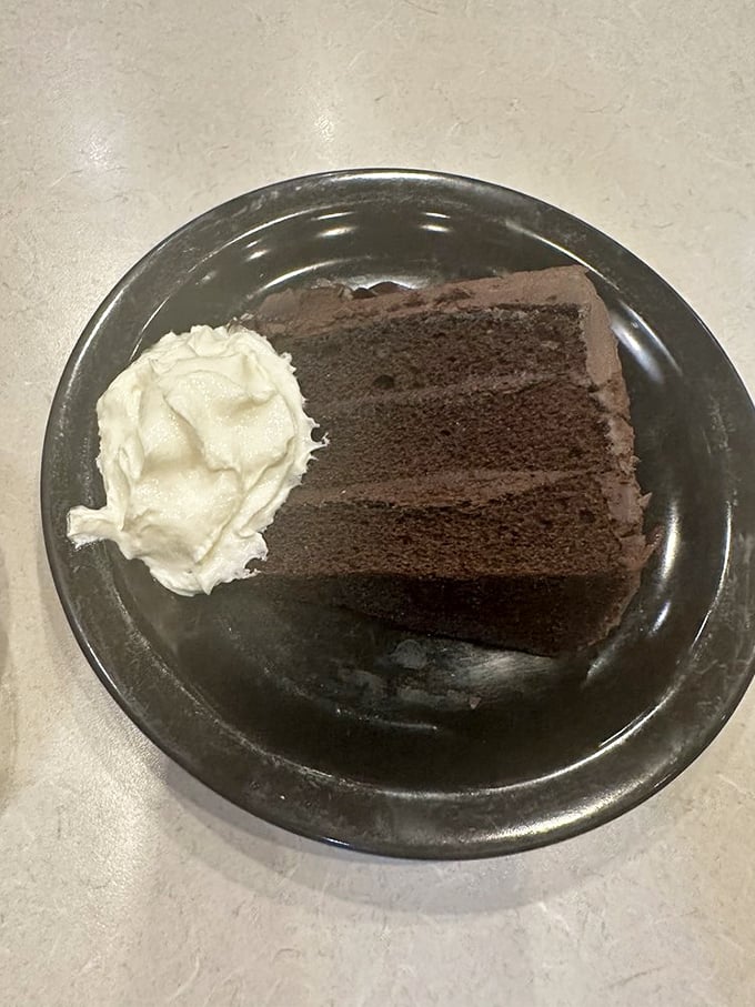 Chocolate cake so rich it probably has its own accountant. That dollop of whipped cream? The perfect counterpoint to chocolate intensity.