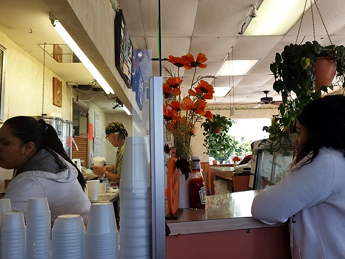 Hanging plants and pops of orange brighten the ordering area, where the real magic happens behind that humble counter.