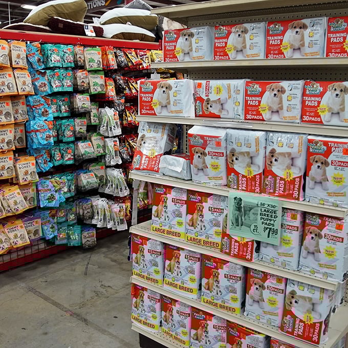 Pet parent heaven &ndash; enough training pads and treats to handle even the most stubborn puppy's journey to household harmony.