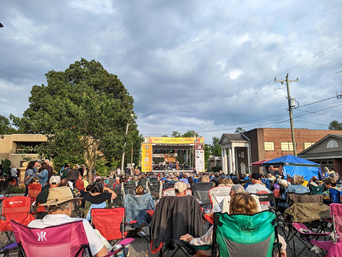 Music fills the air at one of Brevard's many outdoor concerts, where lawn chairs and good vibes are the only admission requirements.