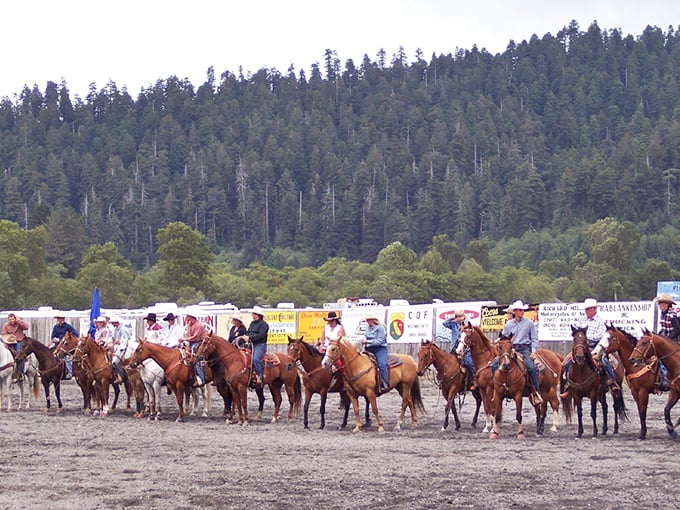 The Orick Rodeo brings cowboy culture to redwood country, where riders gather against a backdrop of towering forest sentinels.
