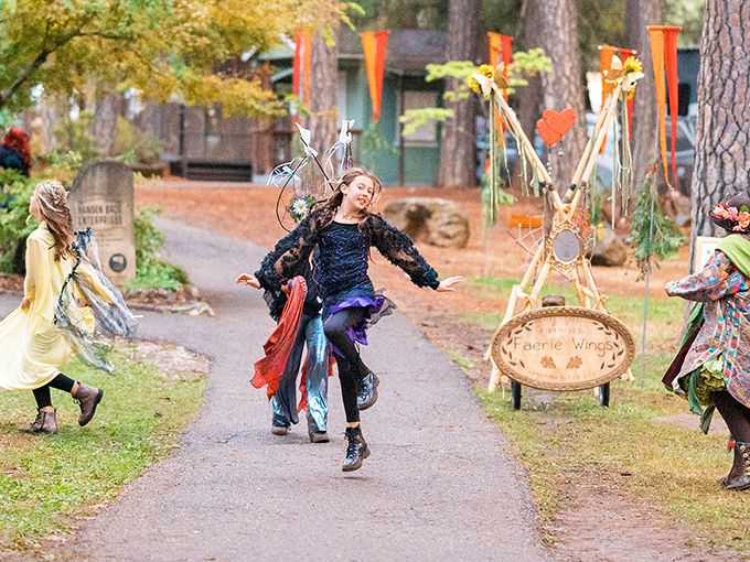 Fairy wings and woodland magic bring storybooks to life at local festivals where imagination runs as wild as the surrounding forests.