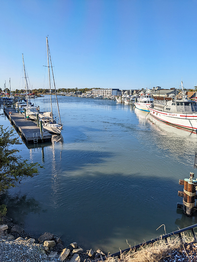 Fisherman's Wharf captures Lewes' working maritime heritage in one postcard-worthy scene. Commercial fishing vessels and pleasure boats share these waters like old friends at a reunion.