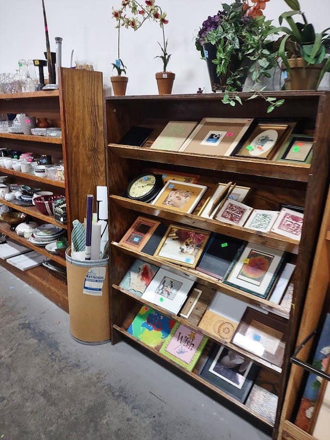 From quirky modern art to pastoral landscapes, the frame selection offers windows to worlds both familiar and fantastical.