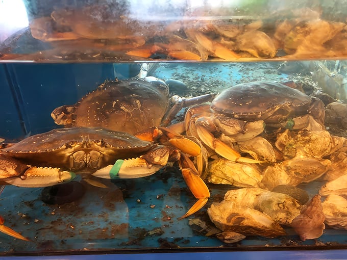 The aquarium isn't just for show&mdash;it's a promise of freshness that says, "Your dinner was swimming this morning."