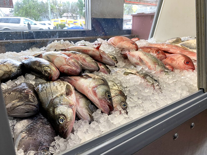 The daily catch on display, eyes bright and gills red. This isn't just fresh&mdash;this is "swimming this morning" fresh.