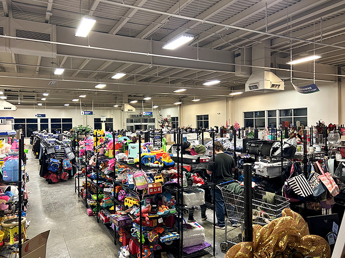 A panoramic view that would make any bargain hunter's heart skip a beat. The thrill of possibility hangs in the air!