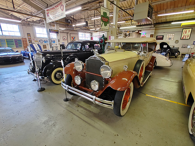 Classic beauties from different eras share floor space like old friends at a reunion. Each represents the pinnacle of its automotive generation.