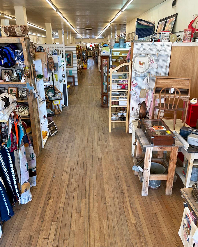 Wooden pathways lead to unexpected discoveries&mdash;each booth a different universe curated by passionate collectors.