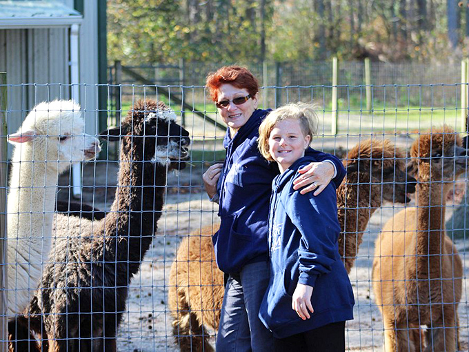 At Jersey Shore Alpacas, these wooly philosophers judge your outfit choices while posing for what they clearly believe will be their album cover.