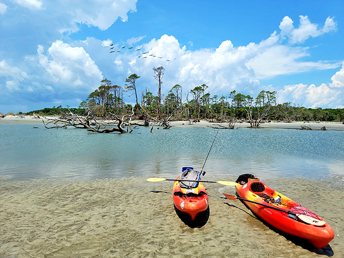 Kayaks waiting at the shore like eager puppies &ndash; ready to take you on an adventure through Beaufort's liquid landscape.