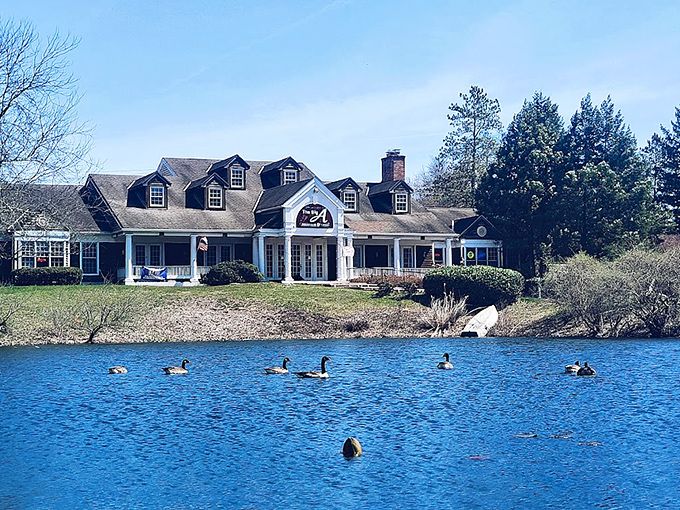 Ducks enjoying the view as much as diners do. Real estate agents call this "waterfront dining with local wildlife entertainment."