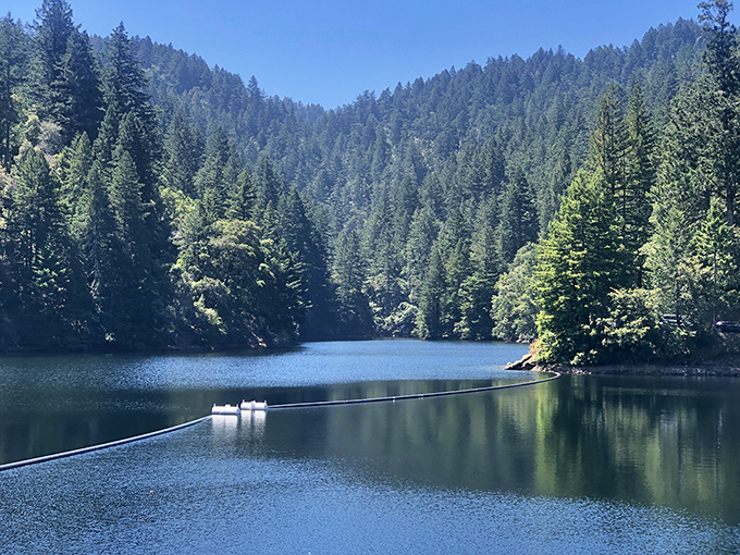 Another alpine lake nestled among towering pines&mdash;nature's infinity pool with better views than any five-star resort could engineer.