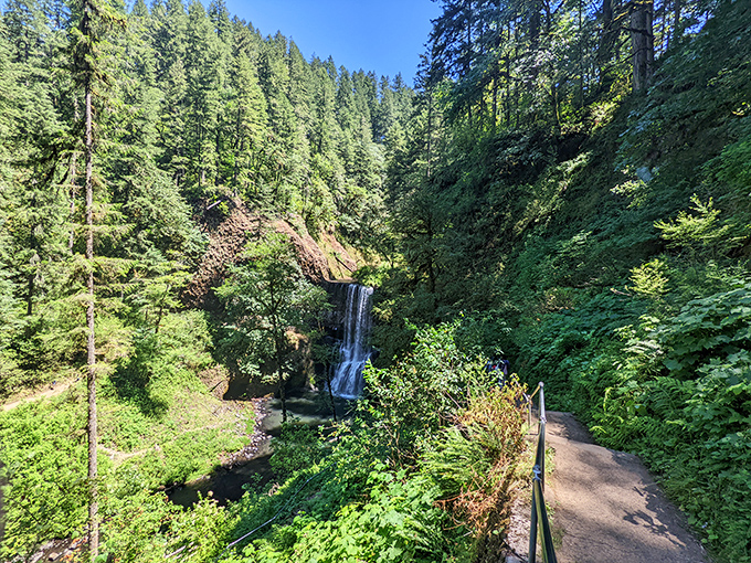 The trail follows Silver Creek's meandering path, where the water runs so clear you can count pebbles and spot trout playing hide-and-seek.