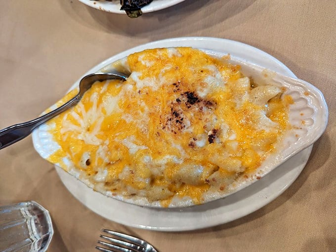 Mac and cheese that's achieved the perfect cheese-pull-to-creaminess ratio. Scientists should study this formula for world peace.