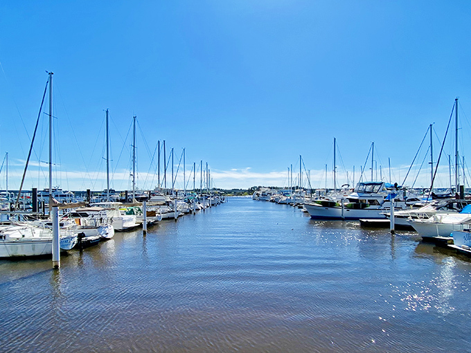 A marina where boats rest like well-fed cats in the sun, waiting for their owners to remember they exist.