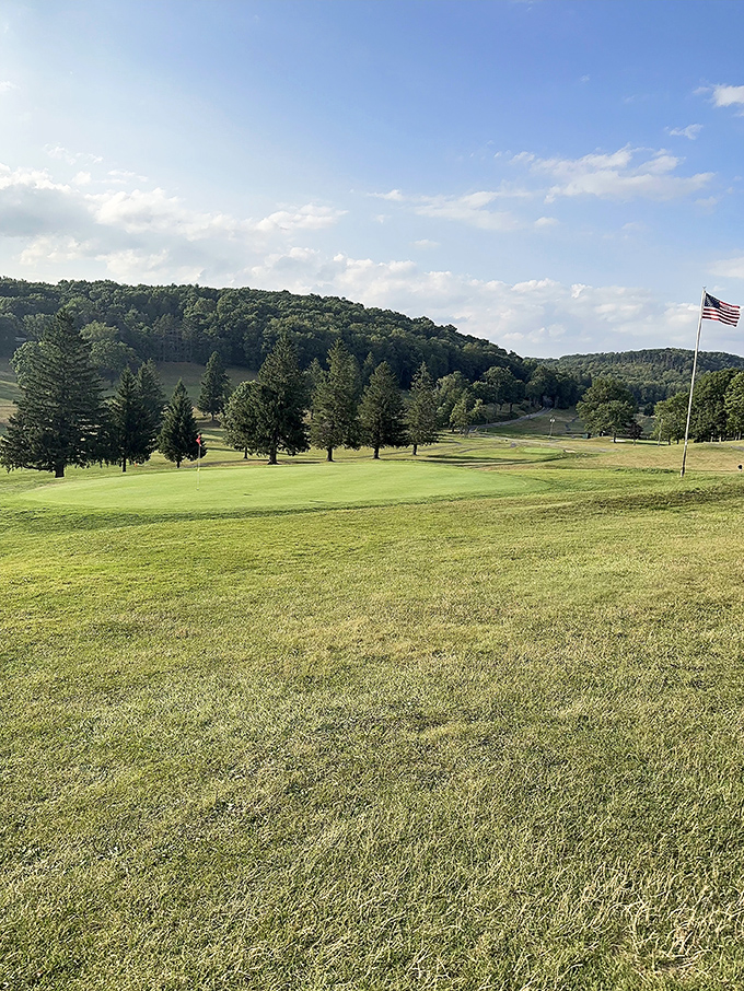 Oakland Golf Course offers fairways with mountain views so distracting, they're basically part of the course's difficulty rating.