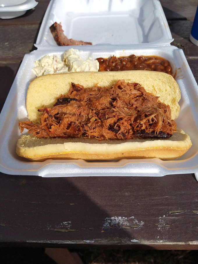A pulled pork sandwich that doesn't need fancy toppings to shine – just honest smoke, tender meat, and a soft bun.