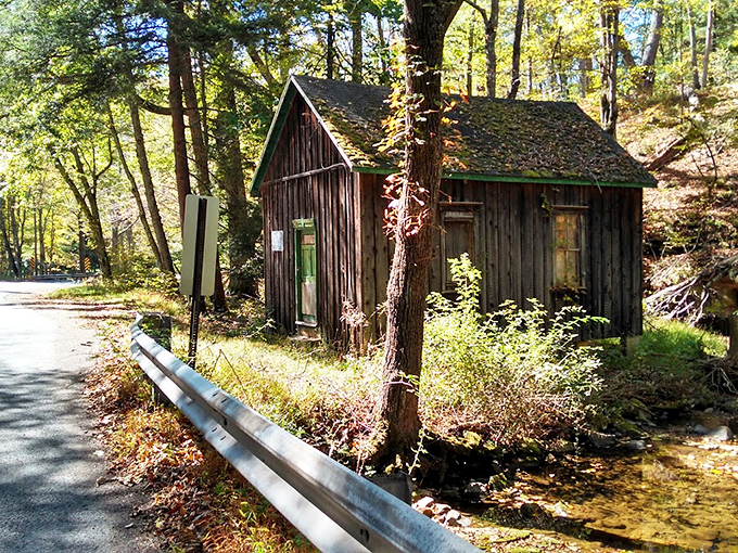 Not just a rustic cabin&mdash;a woodland sanctuary. This weathered structure blends so perfectly with its surroundings, Mother Nature herself might have been the architect.