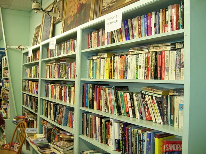 The book section: a paper playground where literary adventures cost less than a cup of coffee. Bestsellers and obscure gems living as neighbors.