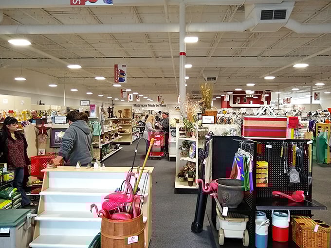 The store layout feels like a department store designed by someone who actually shops in department stores.