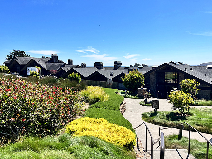 The Lodge at Bodega Bay nestles into the landscape like it grew there naturally&mdash;architecture that knows its job is to frame the view, not compete with it.