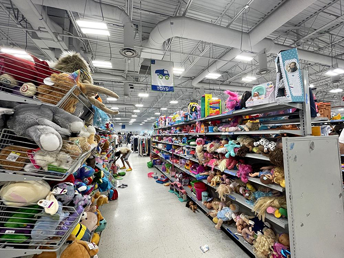 Stuffed animals galore! This toy section could supply a carnival midway. Someone else's outgrown childhood joy becomes your kid's new best friend.