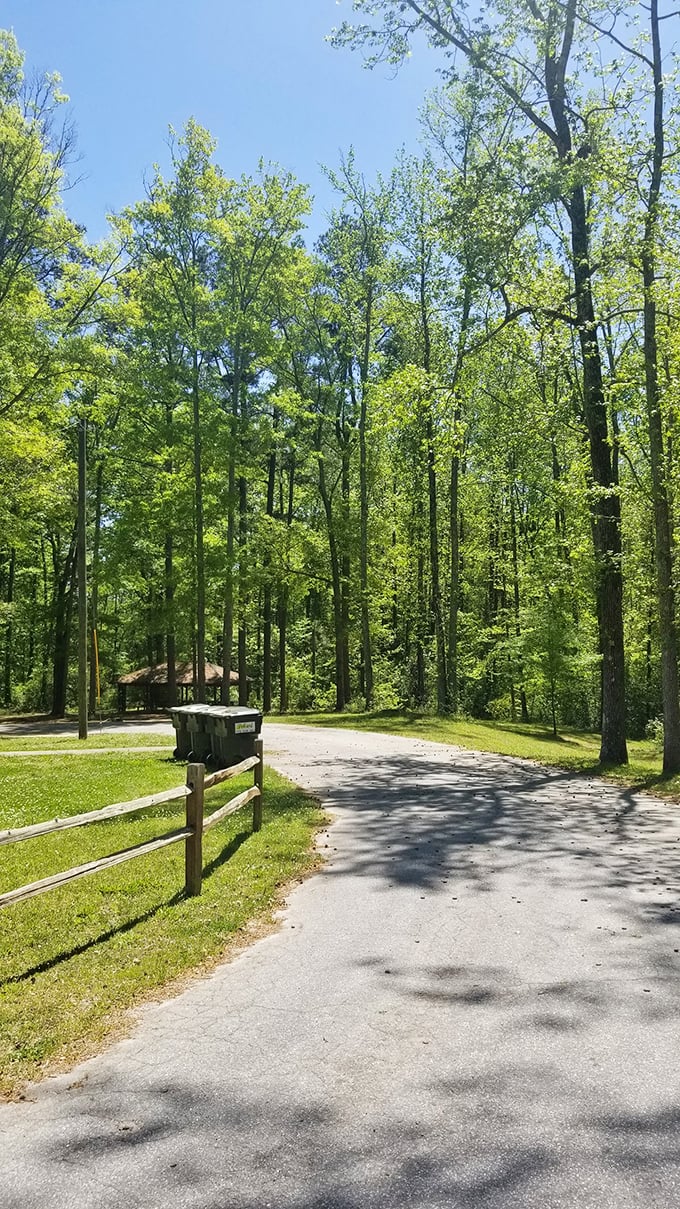 Dappled sunlight creates natural spotlight effects on Senoia's trails. The perfect escape when you need a moment away from zombie tourism.